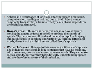Basic Anatomy CNS | PPTX