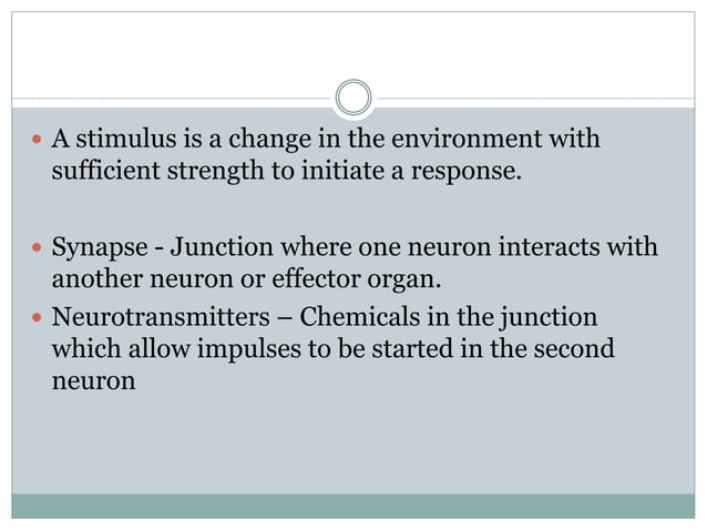 Basic Anatomy CNS | PPT