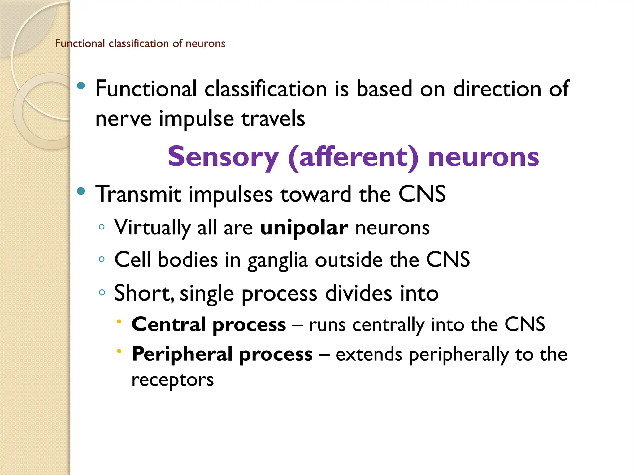 CNS anatomy is a detailed lecture of brain and spinal cord | PPT