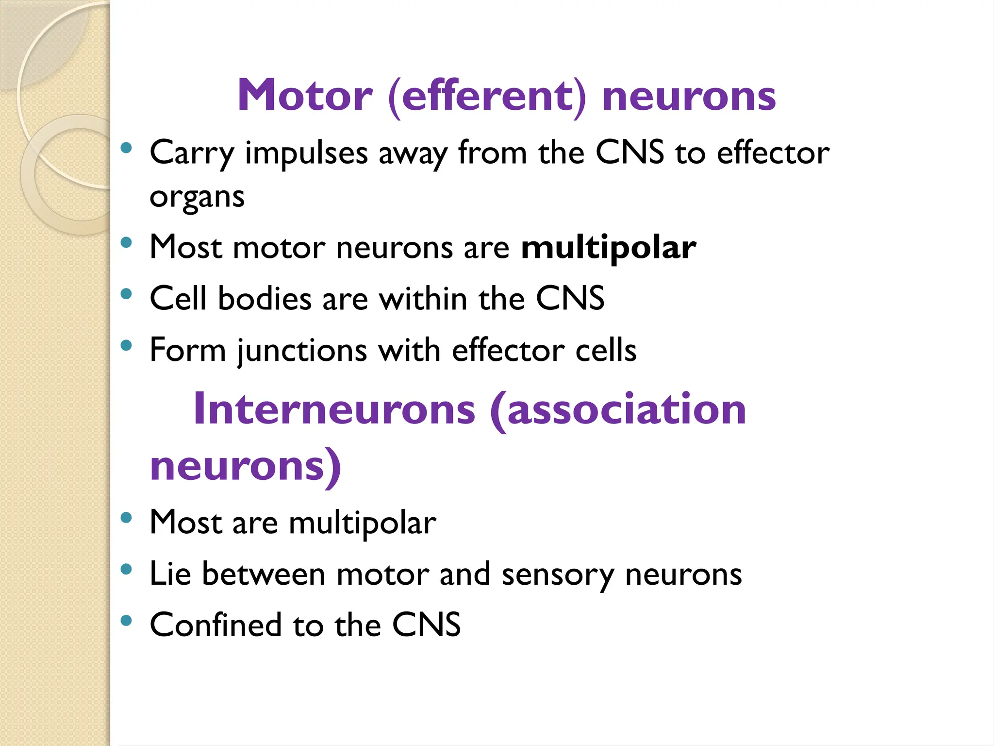 CNS anatomy is a detailed lecture of brain and spinal cord | PPT
