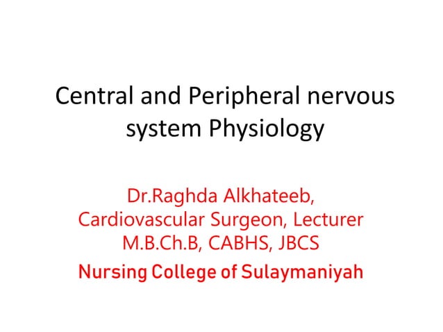 CNS AND PNS NURSING .pptx1-1.pptx