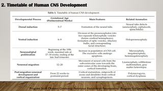 diagnostic oc central nervous system anomaly of fetus | PPTX