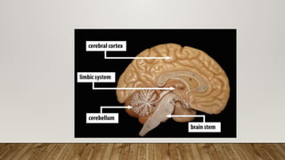 cns assess.pptx glasgow coma scale, cranial nerves | PPTX
