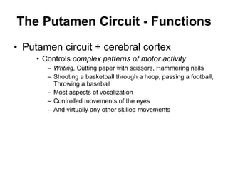 Cns basal ganglia | PPT