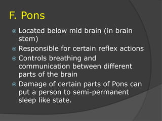 CNS BY ROHTASH.pptx | Death, Injury, or Military Conflict | Sensitive ...