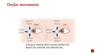 EXAMINATION OF CNS - Cranial nerves | PPT