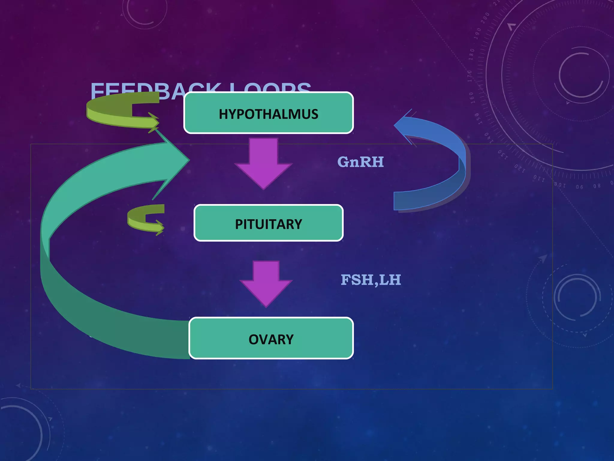 Control mechanism of Female Reproduction | PPT