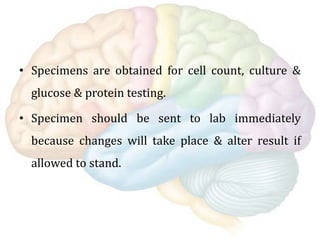 CNS DIAGNOSTIC TESTS | PPTX