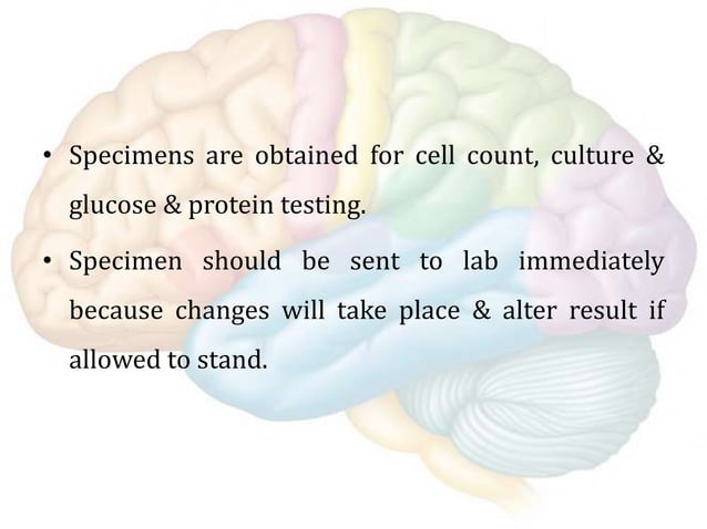 CNS DIAGNOSTIC TESTS | PPTX | Brain and Nervous System Disorders ...