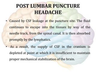 CNS DIAGNOSTIC TESTS | PPTX