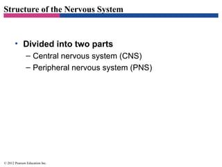 Cns disorders | PPT