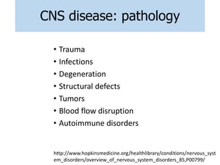 CNS disorders in pediatrics | PPTX