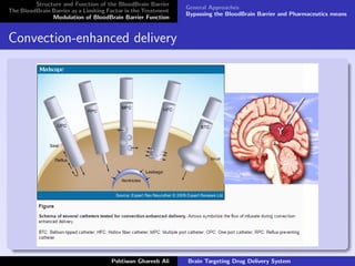 Cns drug delivery system by pharmaceutics means | PDF