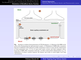 Cns drug delivery system by pharmaceutics means | PDF