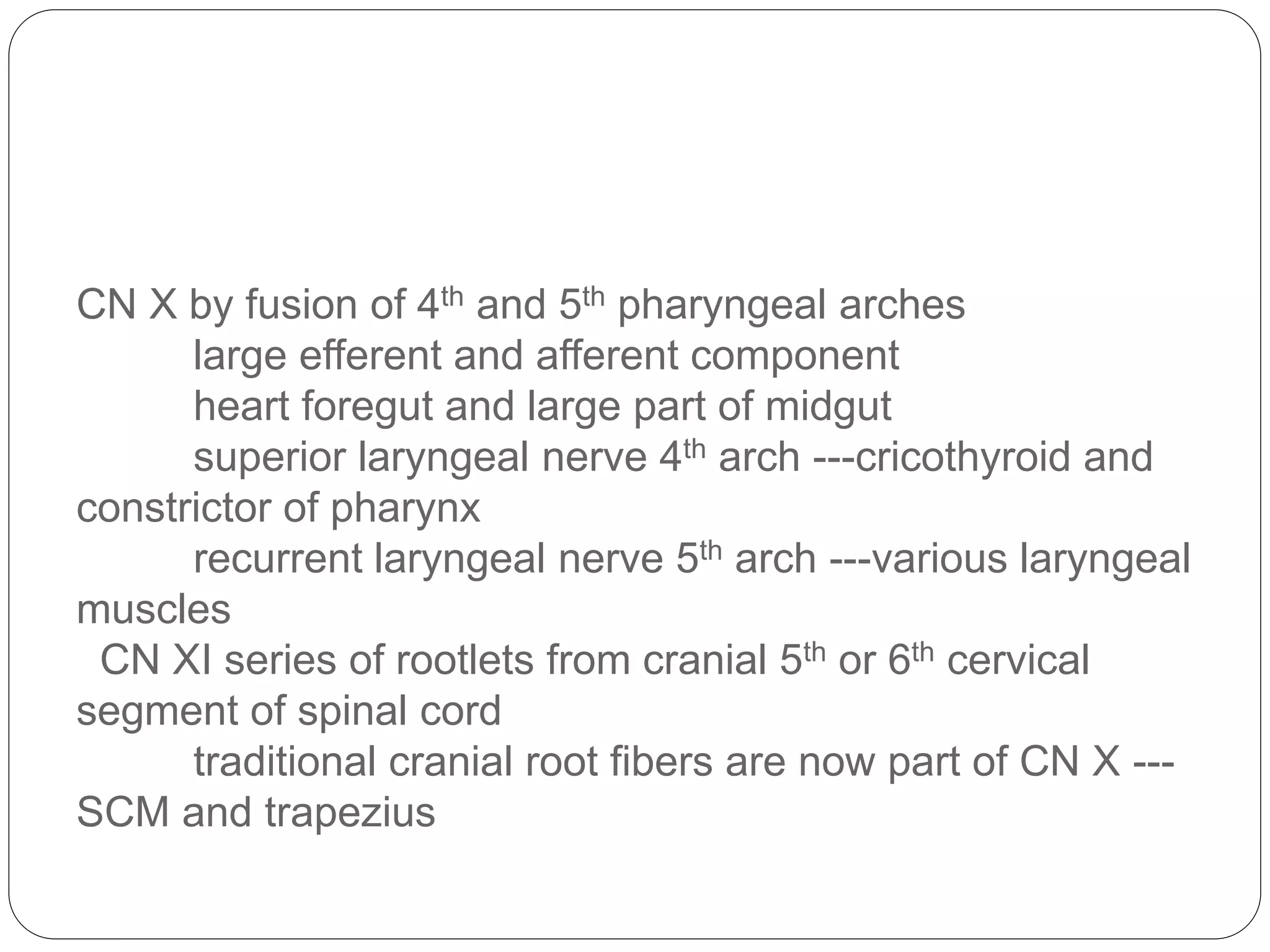 Cranial nerves for dental students | PPTX