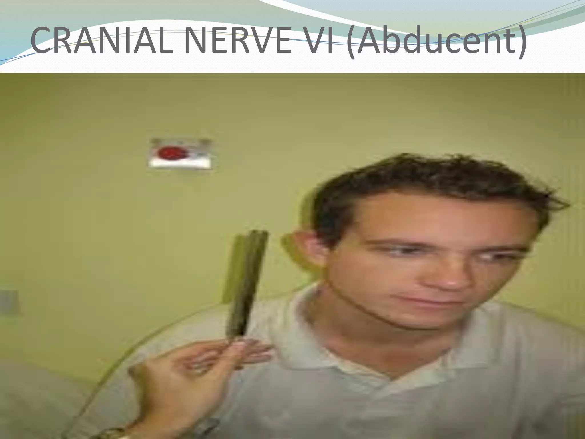 CNS examination | PDF