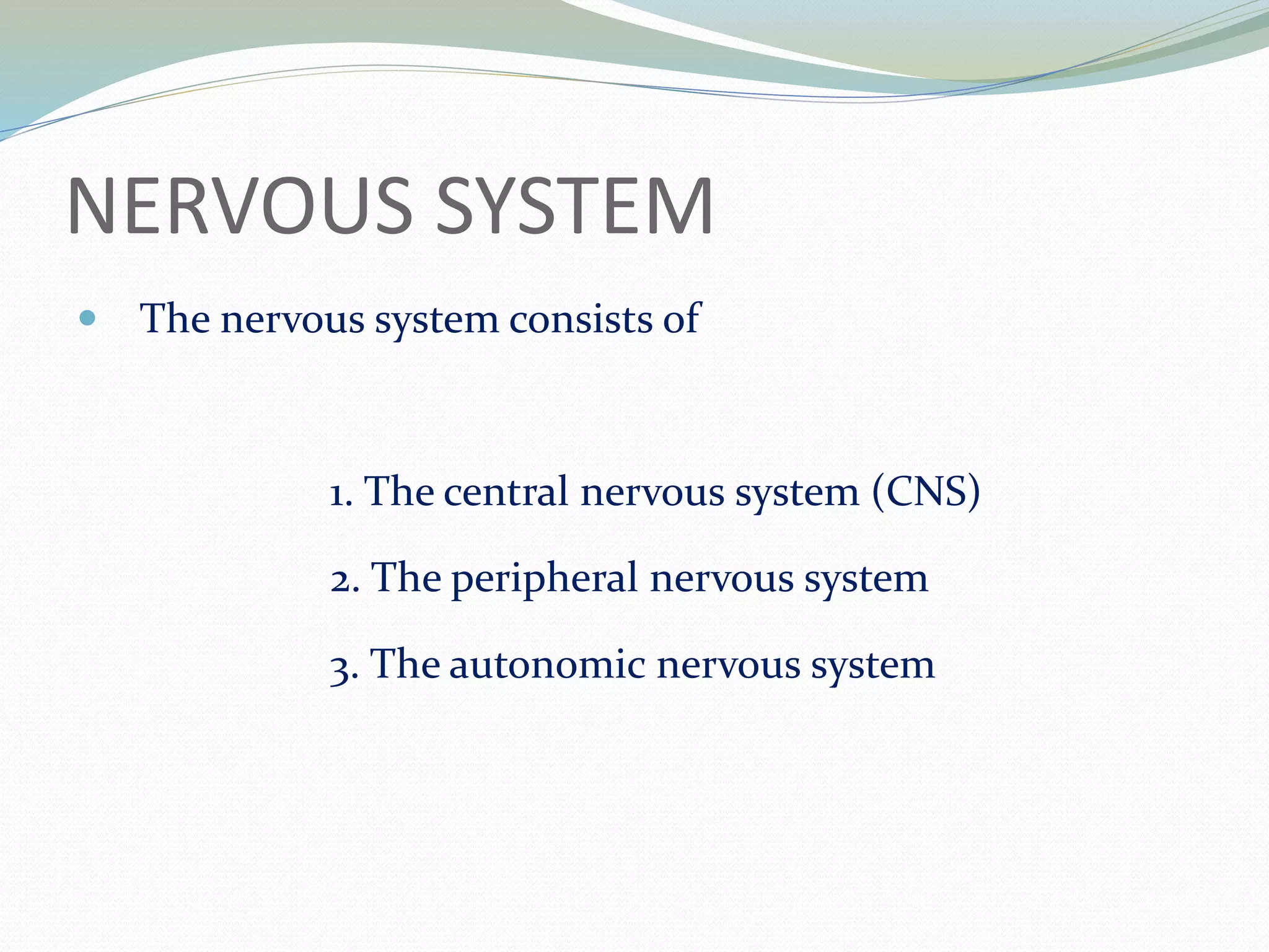 CNS examination | PDF