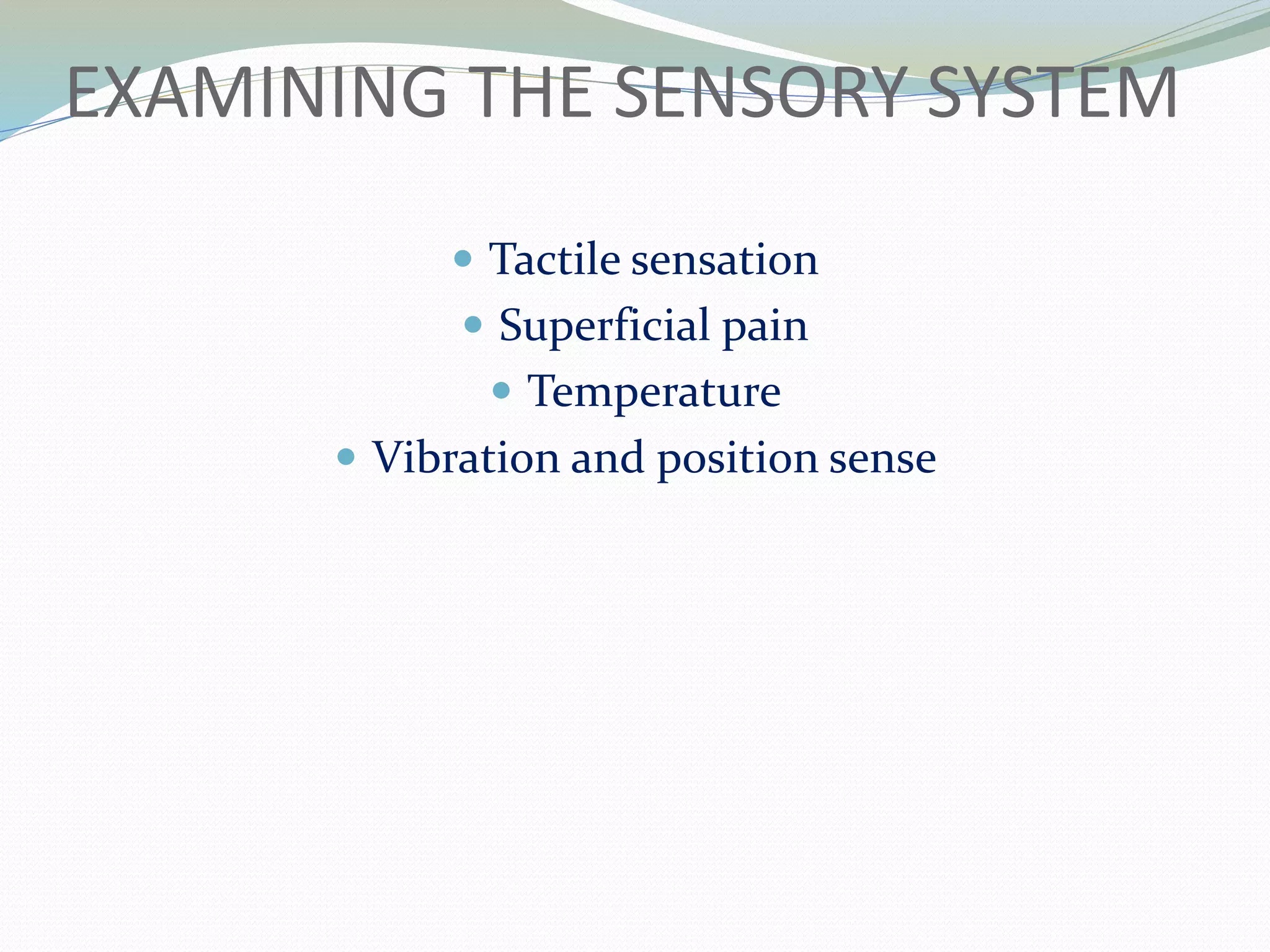 CNS examination | PDF