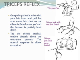 Triceps Reflex