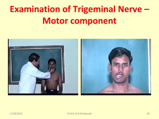 Clinical Examination of Nervous System - PPT | PDF