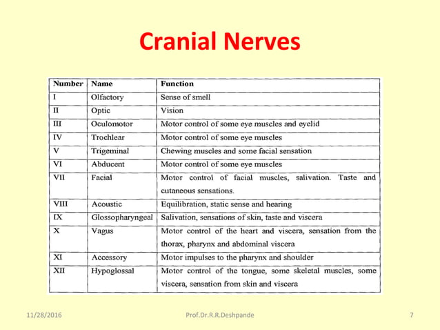 Clinical Examination of Nervous System - PPT | PDF
