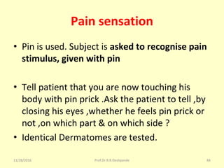 Clinical Examination of Nervous System - PPT | PDF