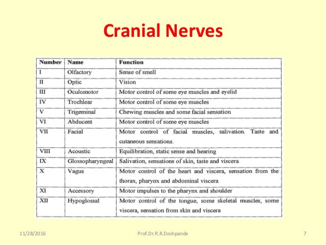 Clinical Examination of Nervous System - PPT