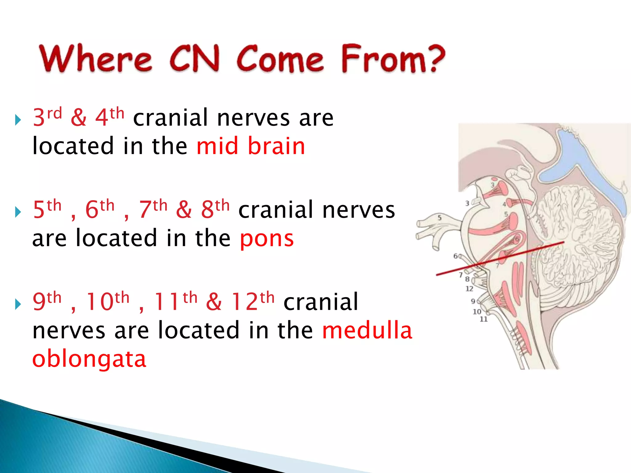 CNS examination | PPTX