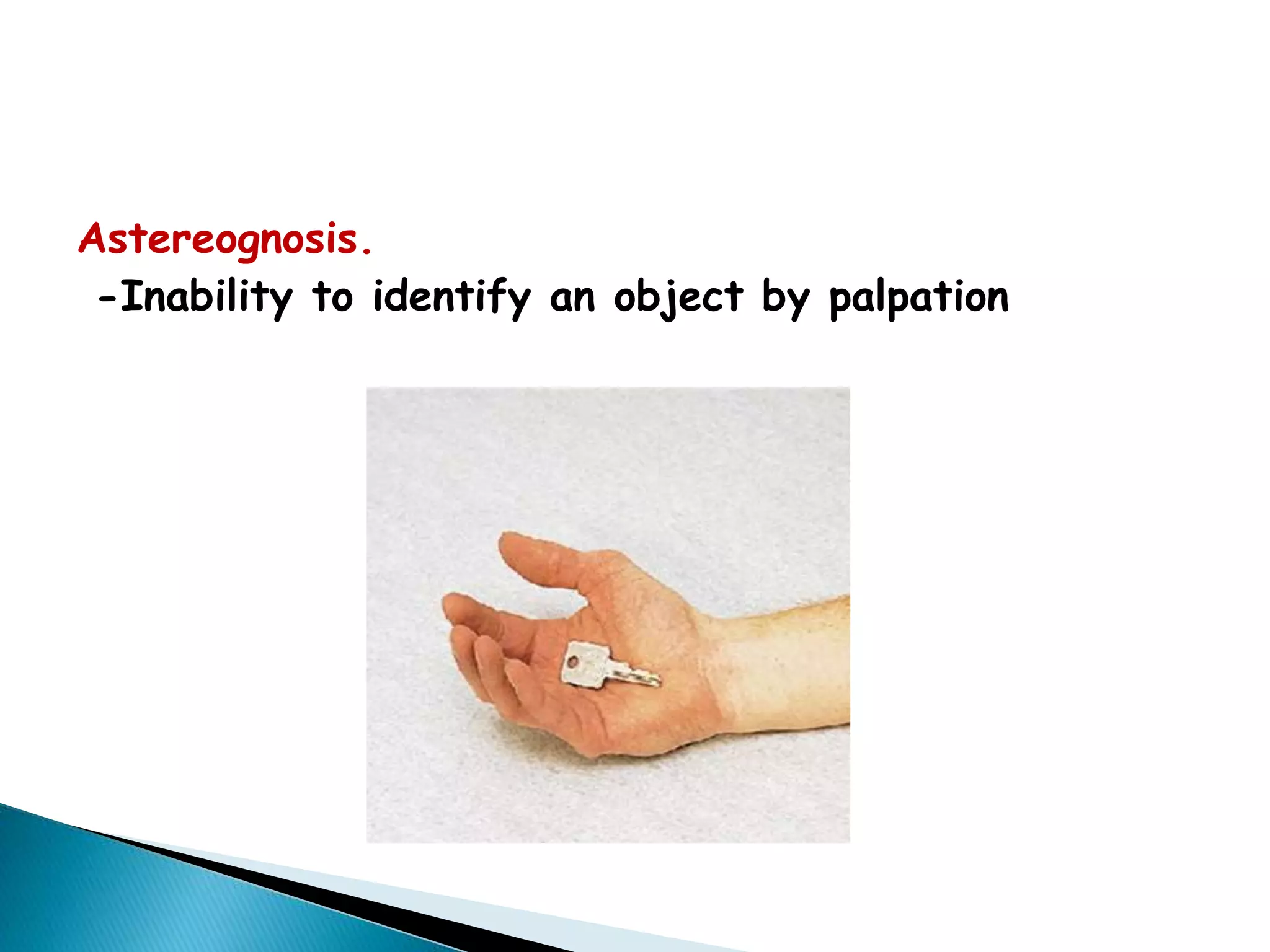CNS examination | PPTX