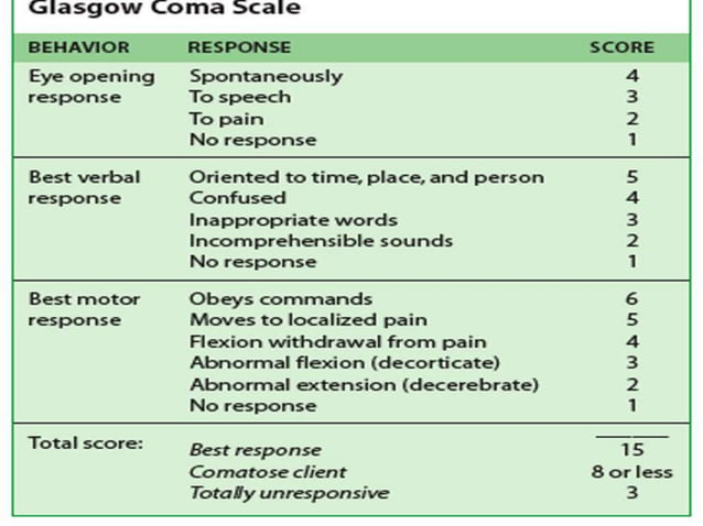CNS examination | PPTX | Death, Injury, or Military Conflict ...