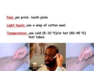CNS examination | PPTX