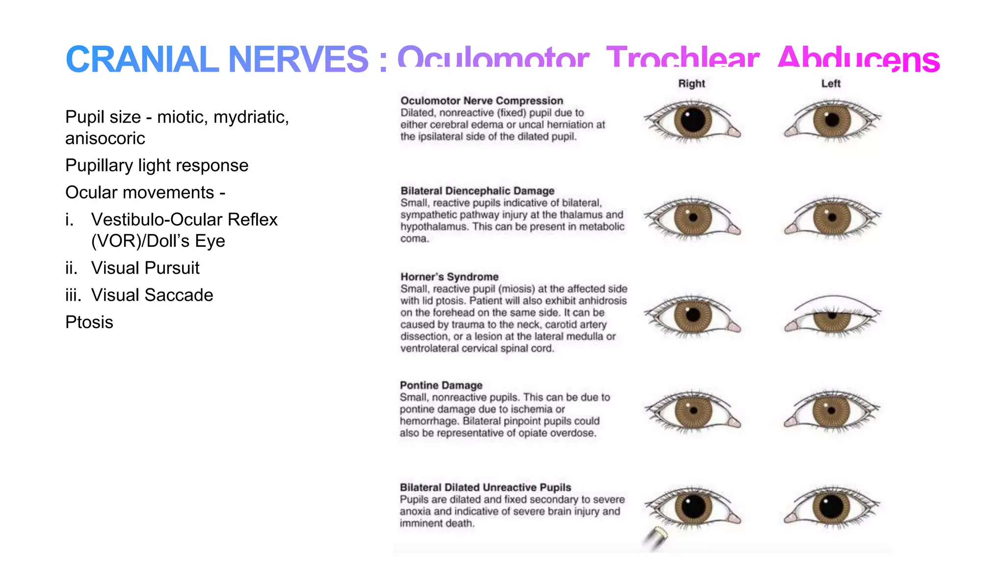 CNS Examination.pptx