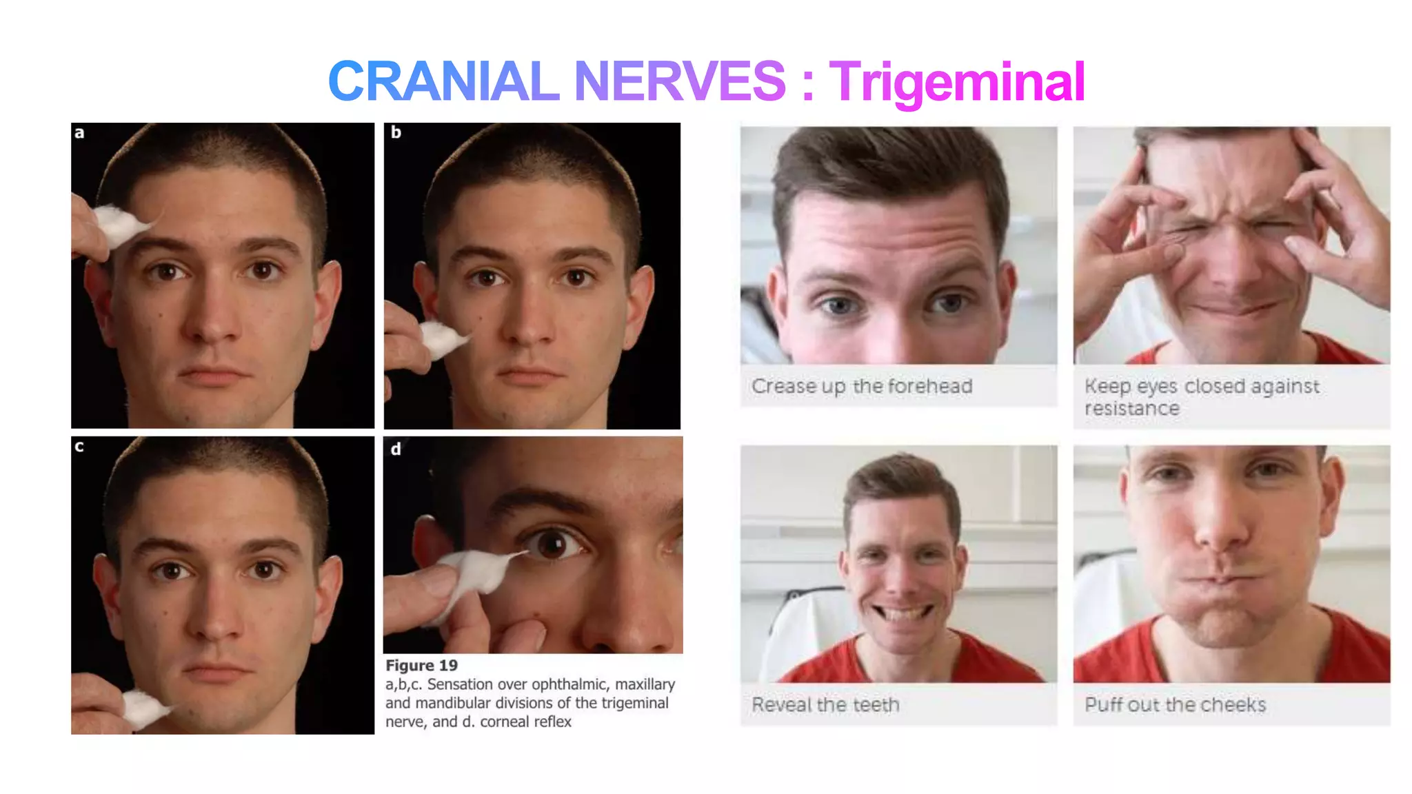 CNS Examination.pptx