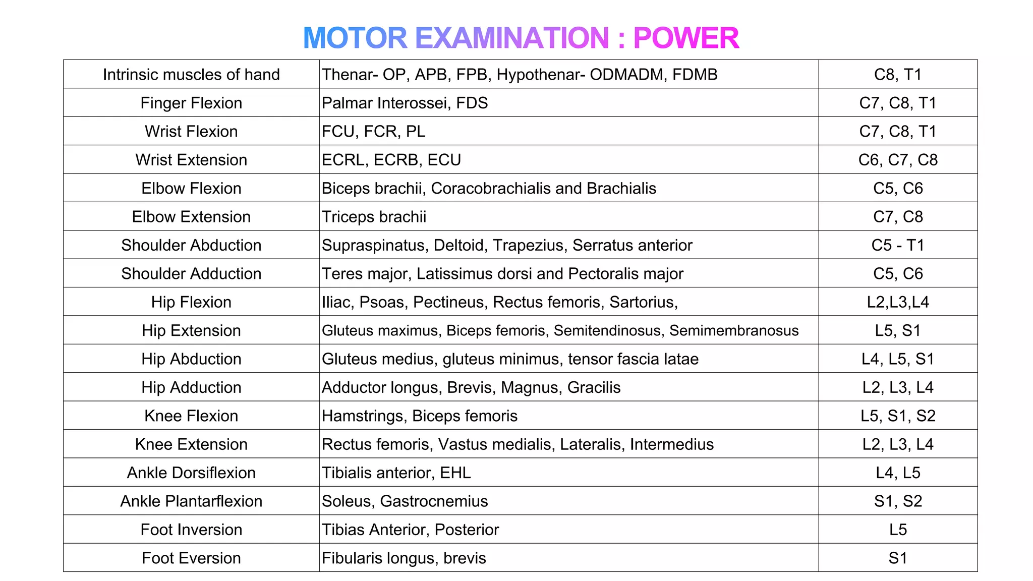 CNS Examination.pptx
