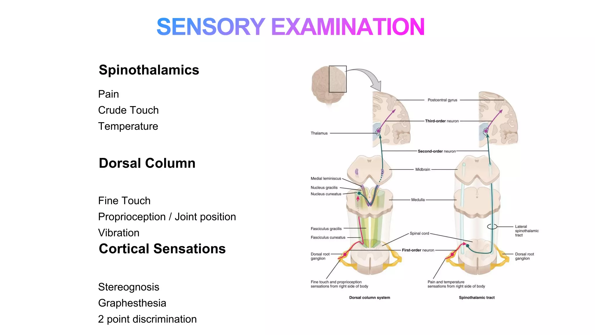 CNS Examination.pptx