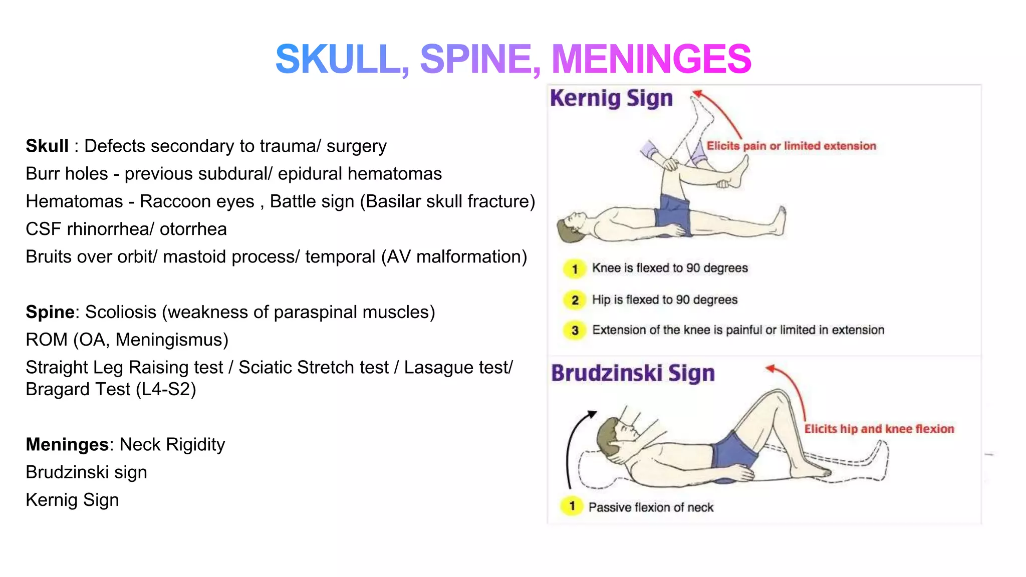 CNS Examination.pptx