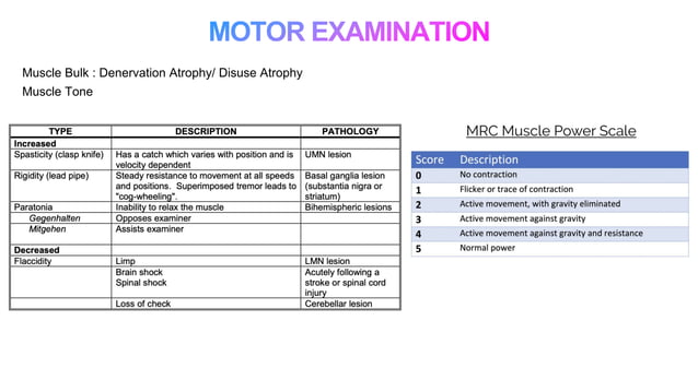 CNS Examination.pptx | Death, Injury, or Military Conflict | Sensitive ...