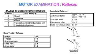 CNS Examination.pptx