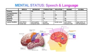CNS Examination.pptx
