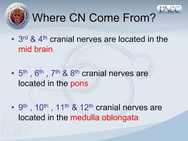 CNS examination.......................ppt