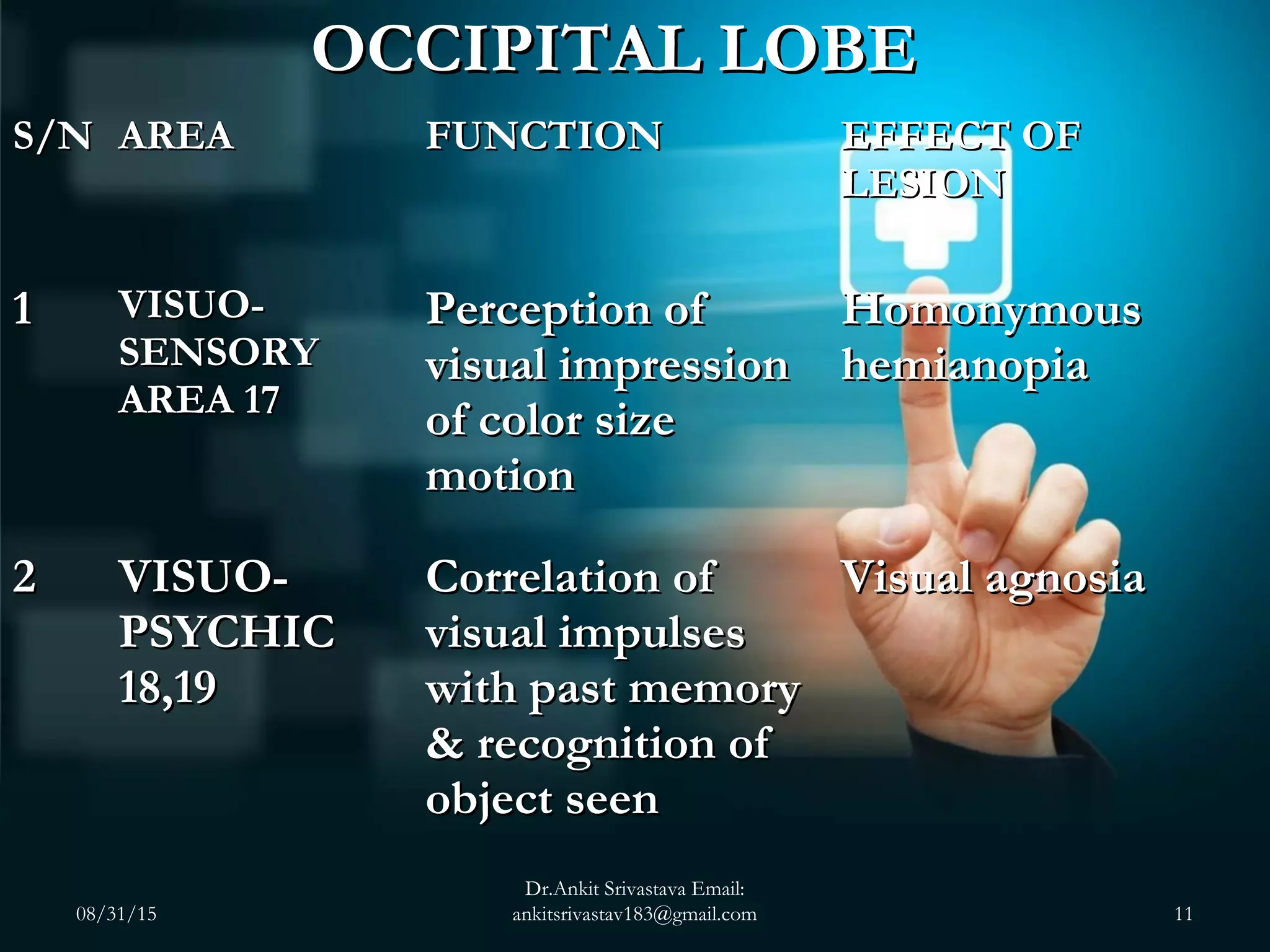 Central Nervous System (CNS) Examination | PPS