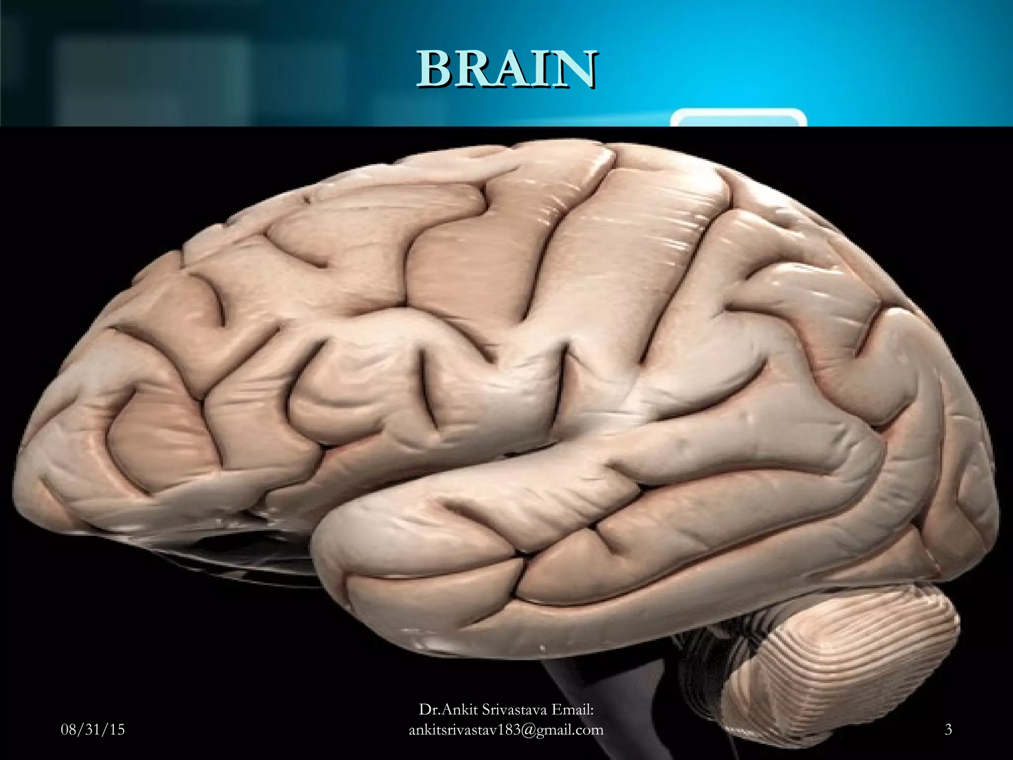 Central Nervous System (CNS) Examination | PPS