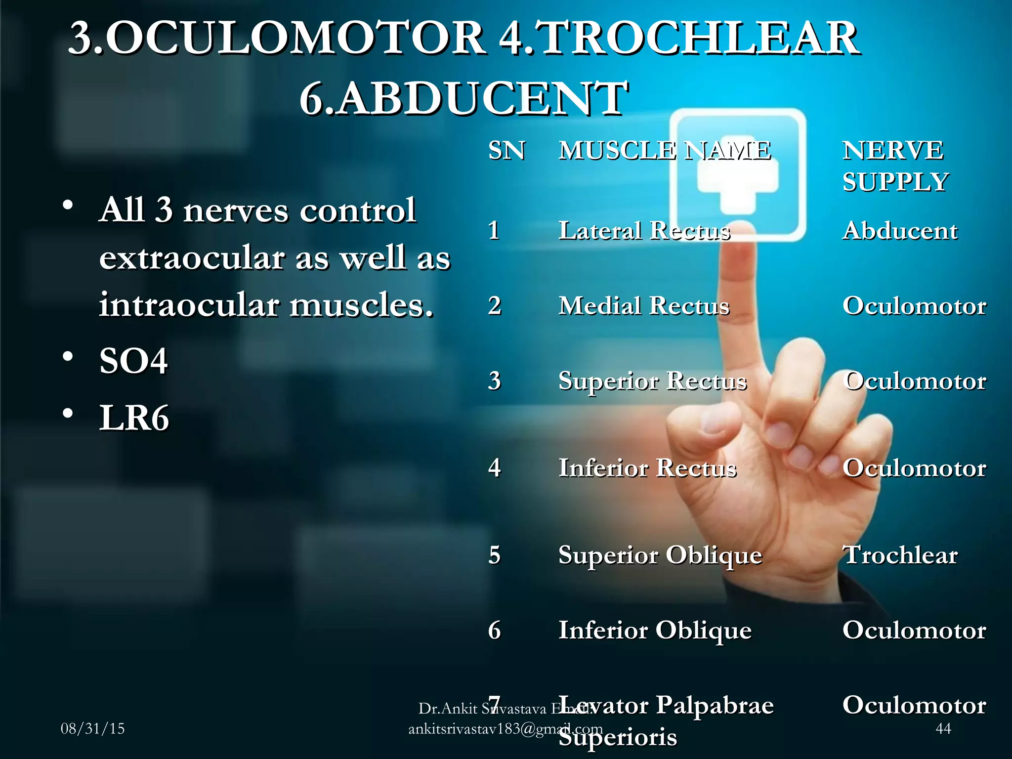 Central Nervous System (CNS) Examination | PPS