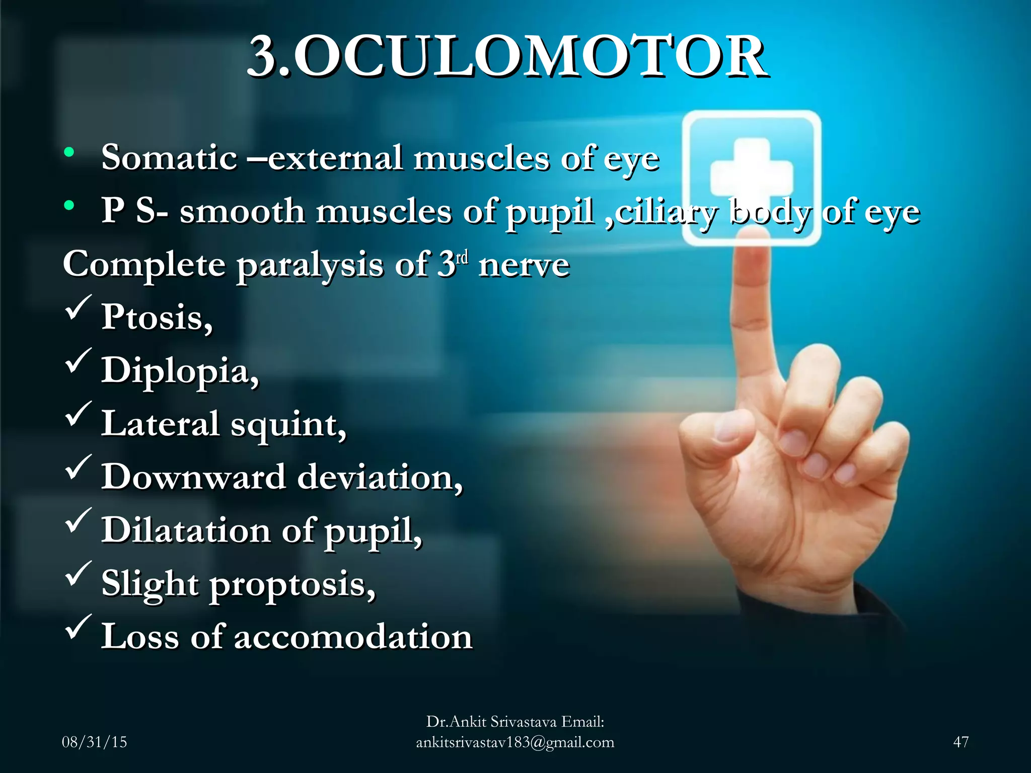 Central Nervous System (CNS) Examination | PPS