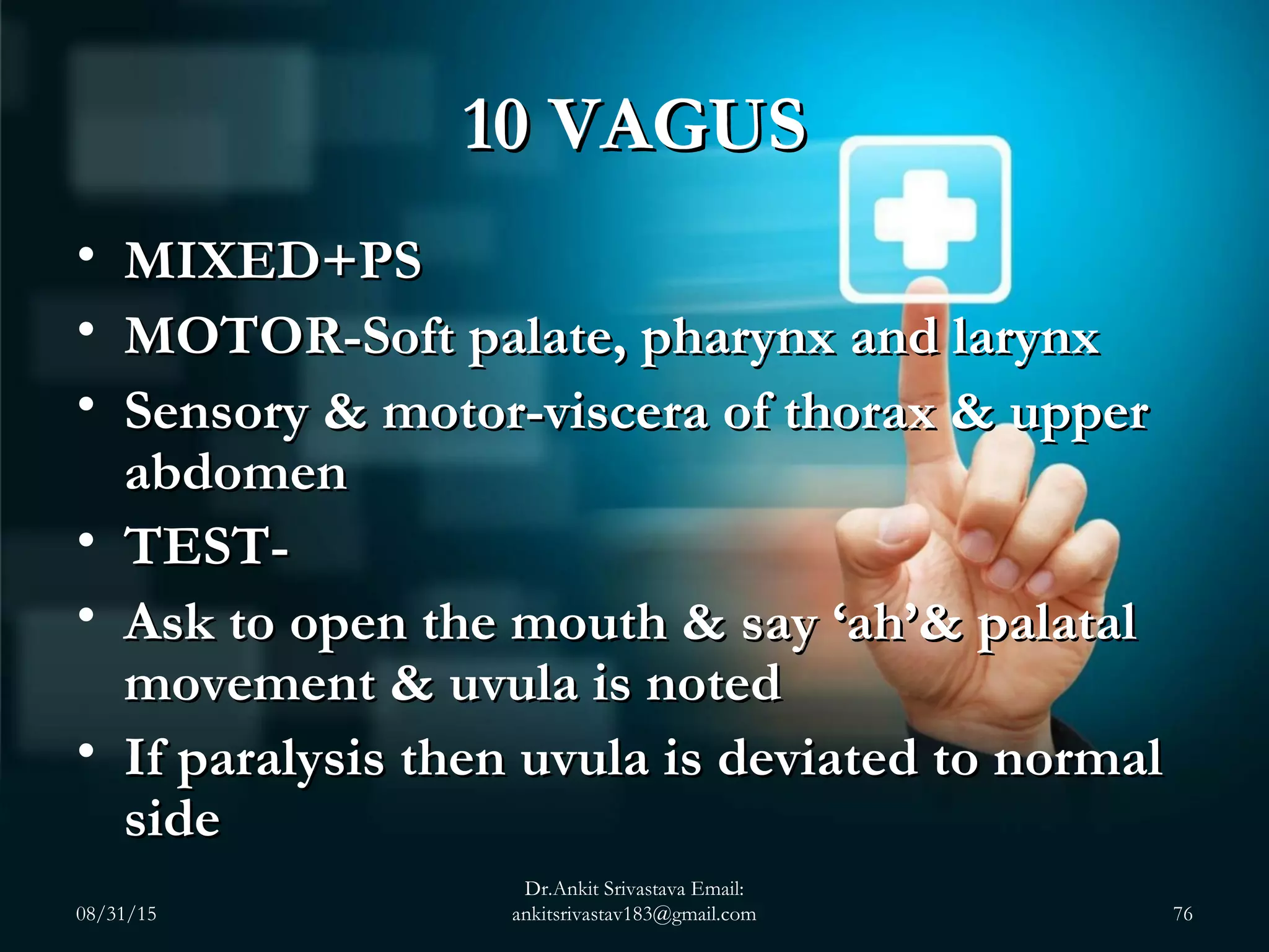 Central Nervous System (CNS) Examination | PPS