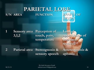 Central Nervous System (CNS) Examination | PPS