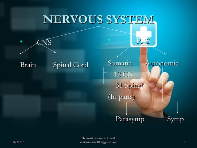 Central Nervous System (CNS) Examination | PPS