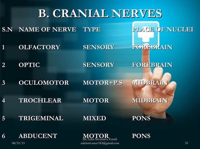 Central Nervous System (CNS) Examination | PPS