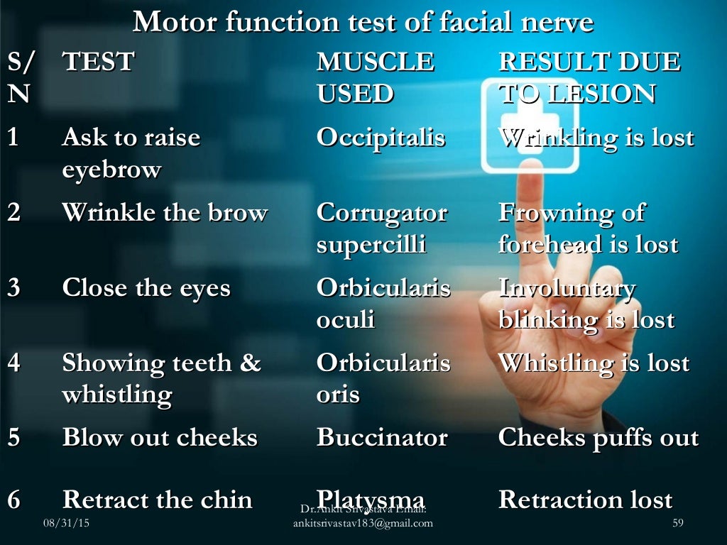 Central Nervous System (CNS) Examination