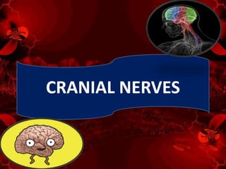 Cns examination and its interpretation | PPTX